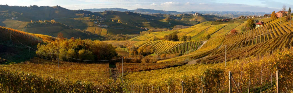 Alessandro Rivetto - Nicola Biscardo Selections