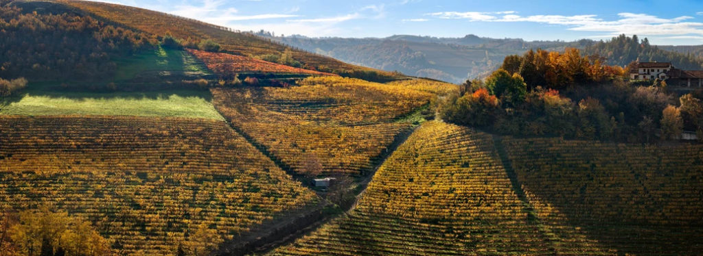 Alessandro Rivetto - Nicola Biscardo Selections