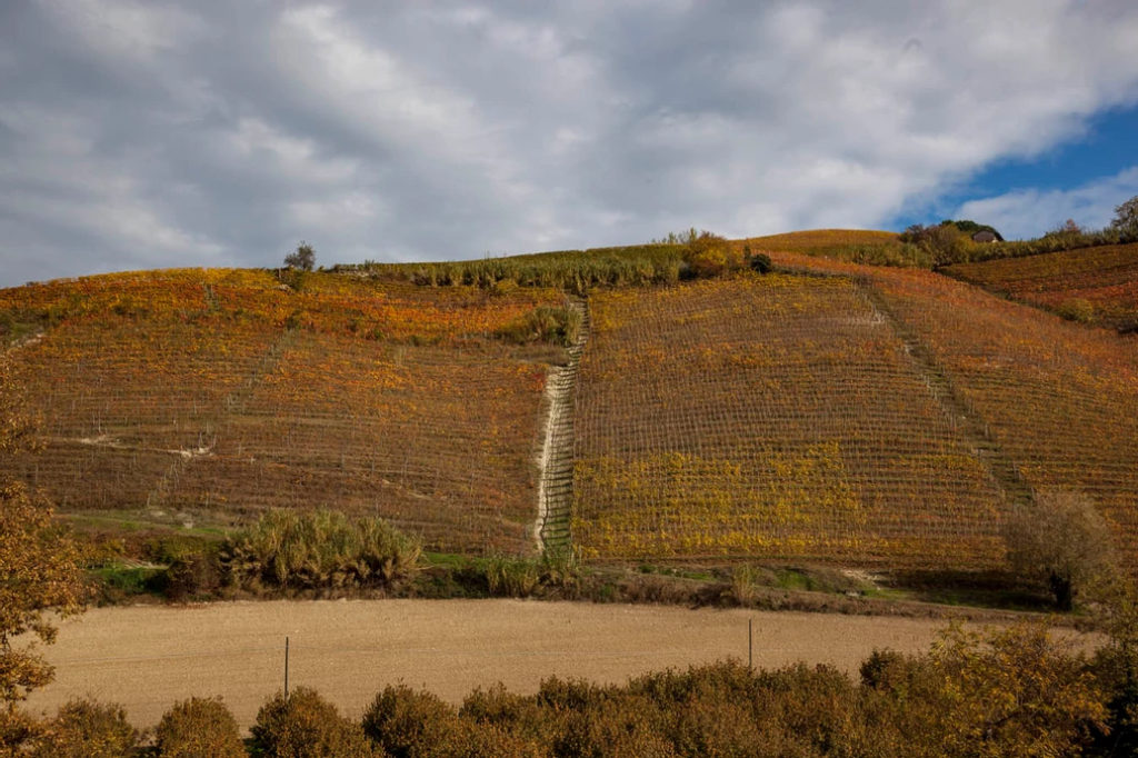 Alessandro Rivetto - Nicola Biscardo Selections